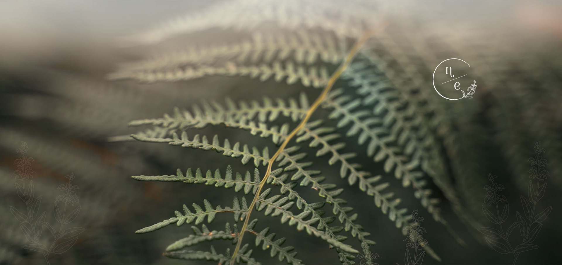 Talleres - Sandra Estrella