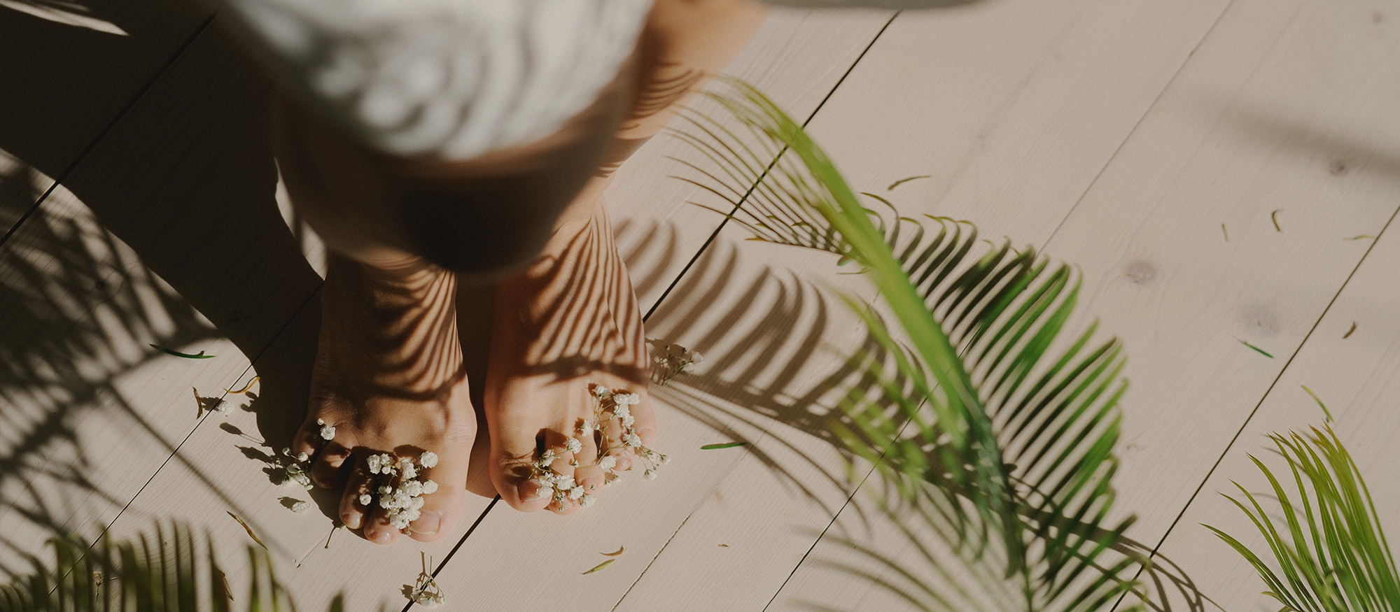 Servicios Archives - Sandra Estrella